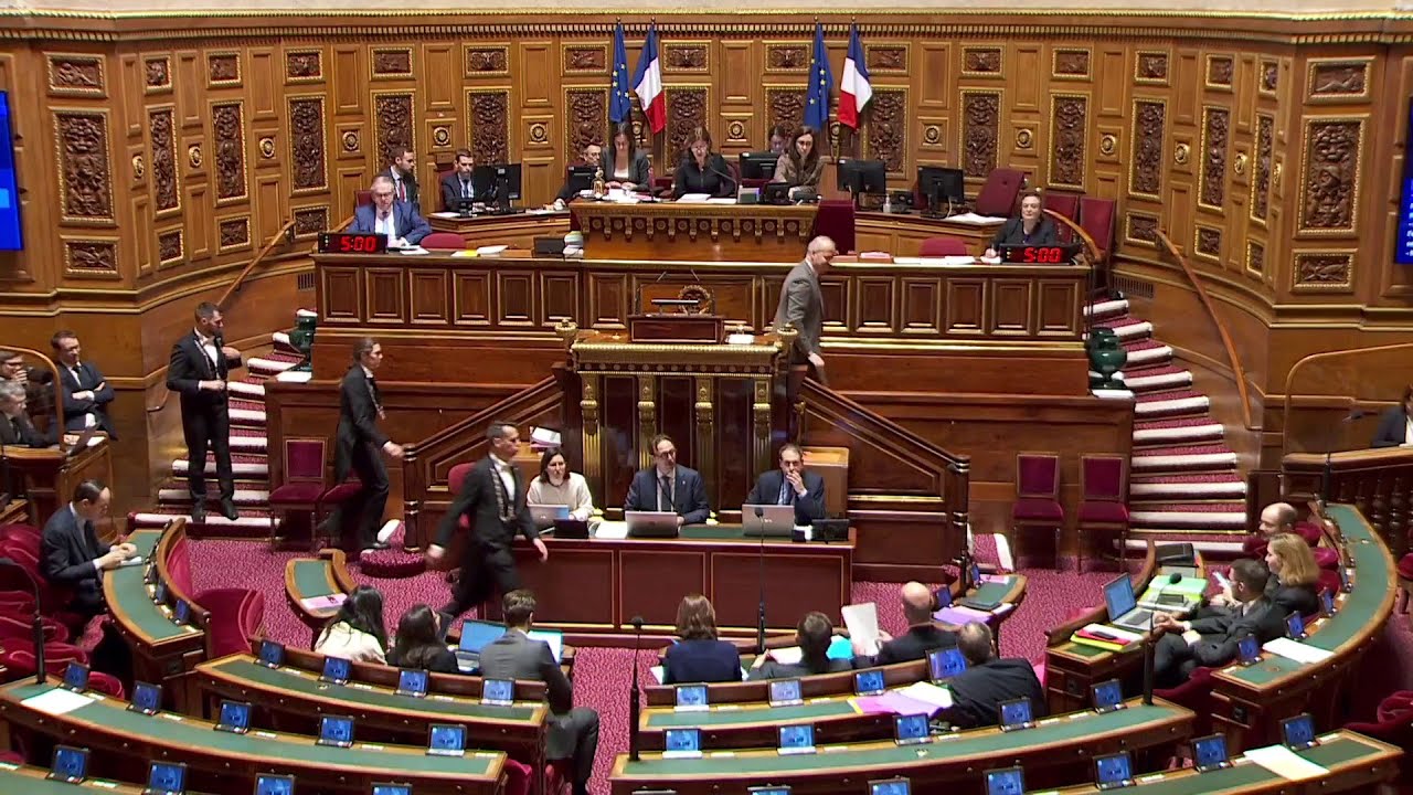 Budget 2025 : le texte définitivement adopté par le Parlement, après un ...