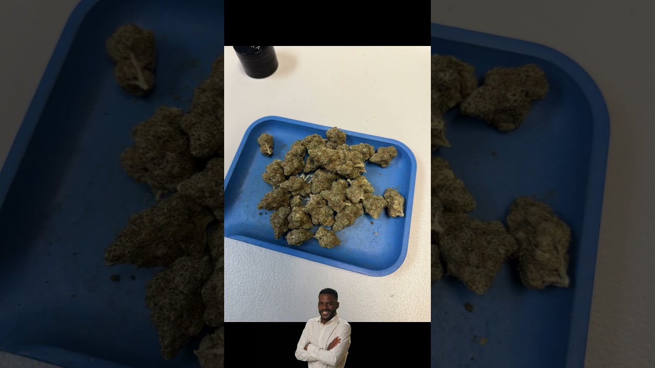 Trees Premium Cultivars Flower🔥