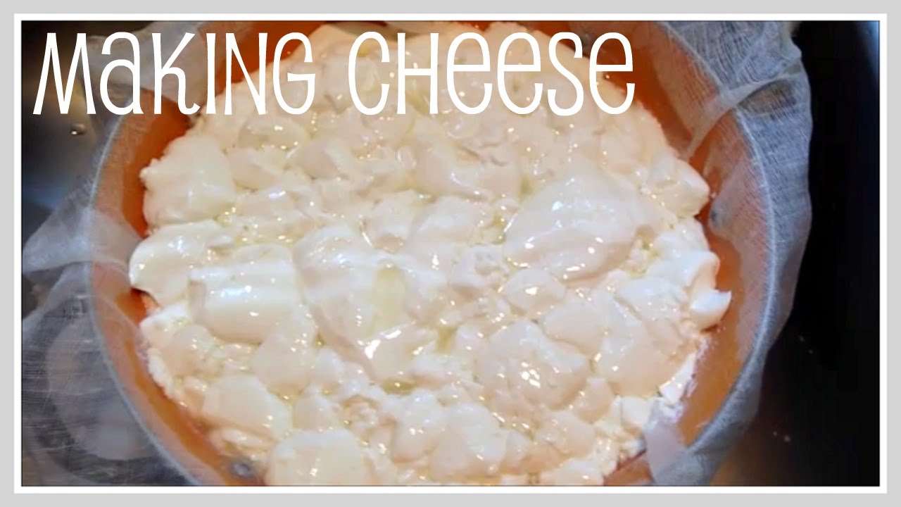 Ricki's Basic Cheese Making Kit