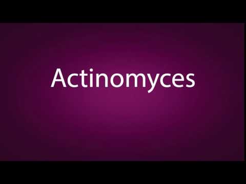 How to pronounce Actinomyces