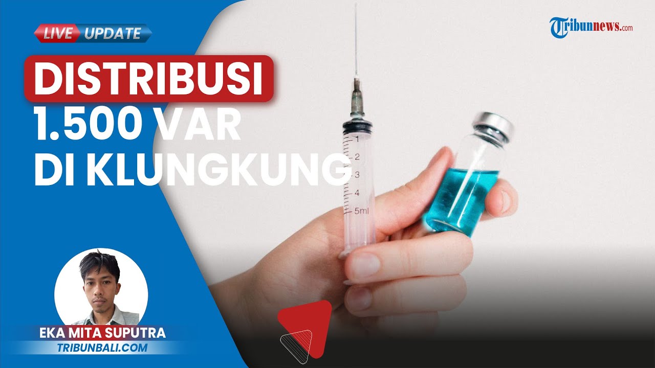 Ketersedian Vaksin Anti Rabies di Bali Menipis, Kabupaten Klungkung ...