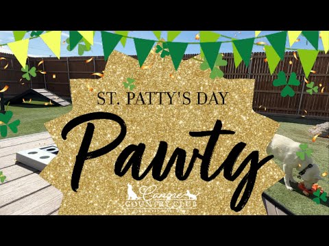 St. Patty's Pawty