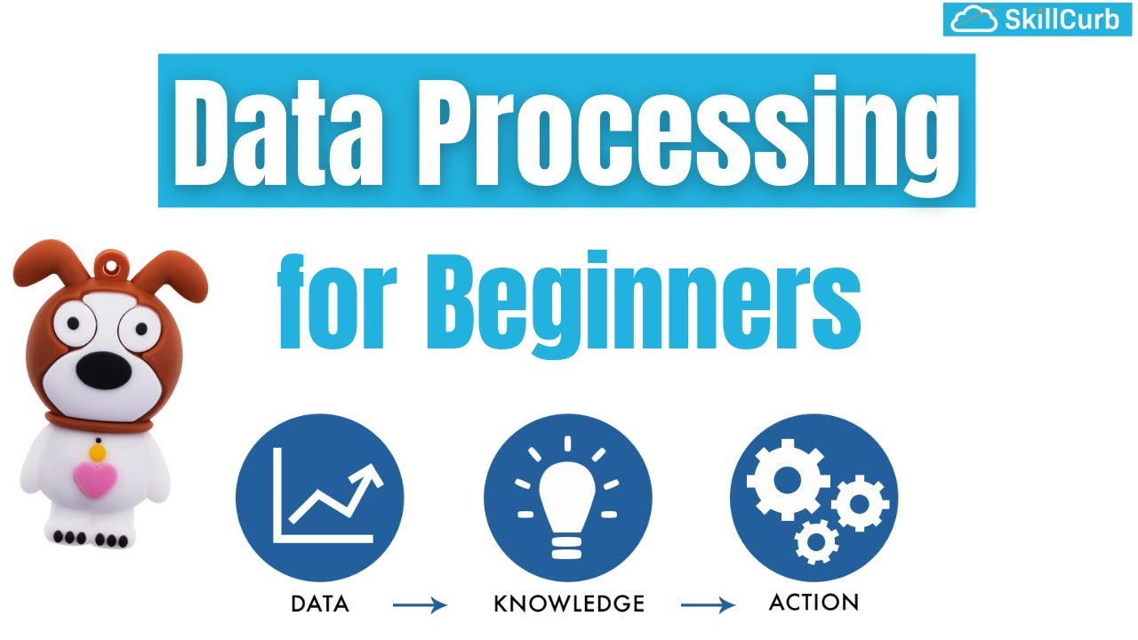 Learn Data Processing Concepts for Beginners | Become a Data Nerd