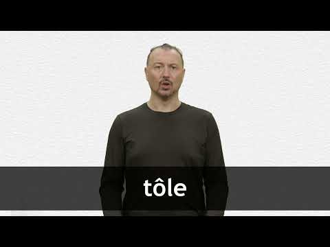 English Translation of “TÔLE” | Collins French-English Dictionary