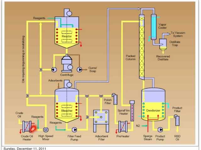 Understanding the Refining Process of Palm Oil: A Comprehensive Guide | Galaxy.ai
