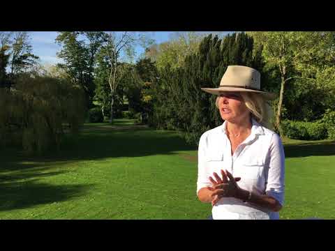 ‘The Pearl Sister’ by Lucinda Riley (The Seven Sisters #4) | Joanne's ...