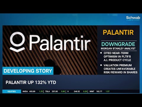 Palantir (PLTR): No Longer A Meme Stock But Too Much A.I. Euphoria?