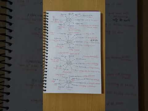Vocab for SSC CGL, CHSL, MTS, CPO Etc. (cide root word means killing)