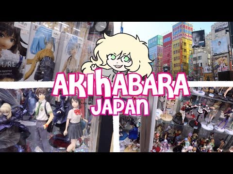 ANIME PARADISE (Akihabara Japan Day 1)