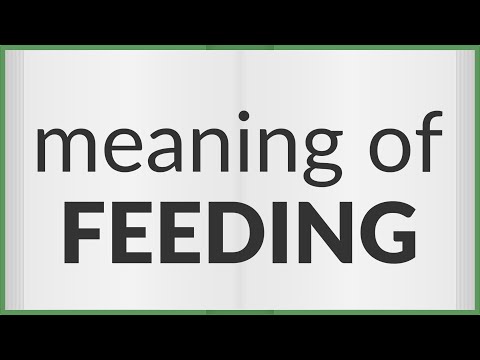 Feeding | meaning of Feeding