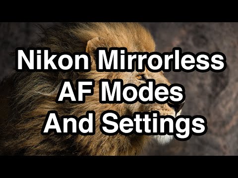 Nikon Z6 & Z Series: AF modes & settings (1595)
