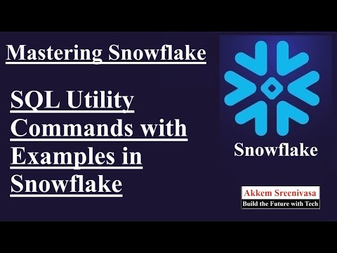 SQL Utility Commands with Examples in Snowflake, Mastering Snowflake