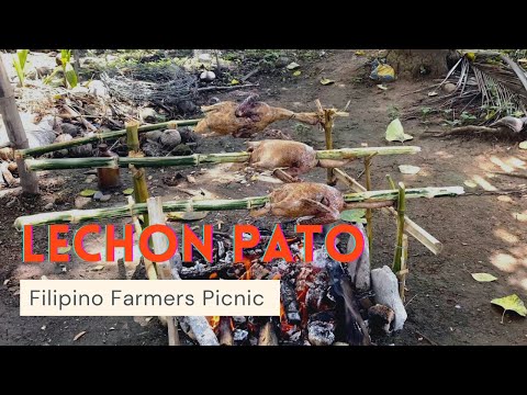 Filipino Style Roasted Duck or Lechon Cooked During Farmers Picnic in the Philippine Countryside