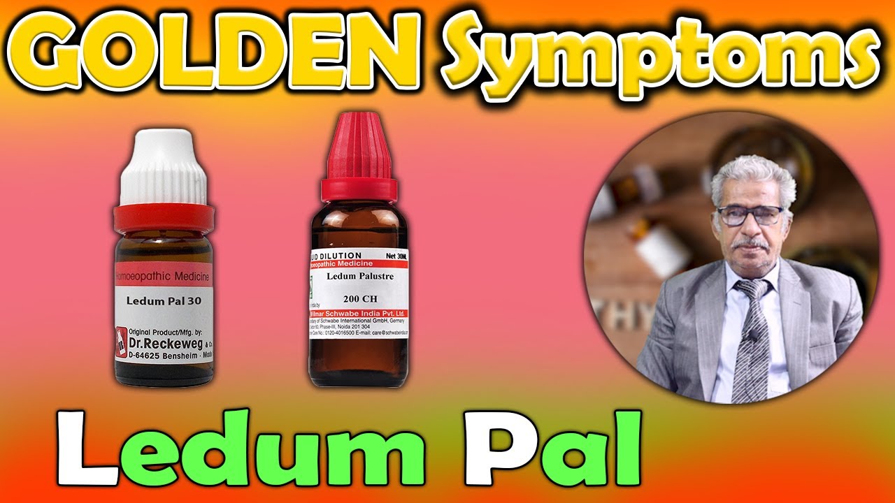 Golden Symptoms of LEDUM PAL 30/200 -- Dr P S Tiwari