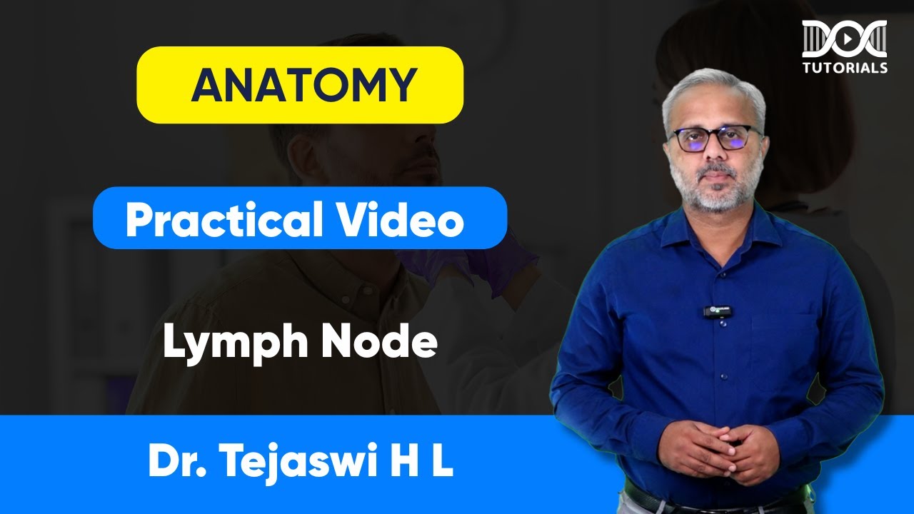 Lymph Node | Anatomy | Practical Video | Dr Tejaswi H L | DocTutorials MBBS