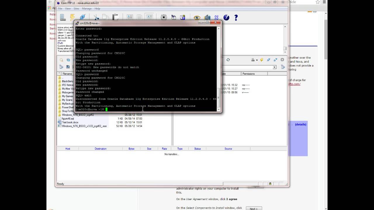 CMIS320 Nova and SQLPlus