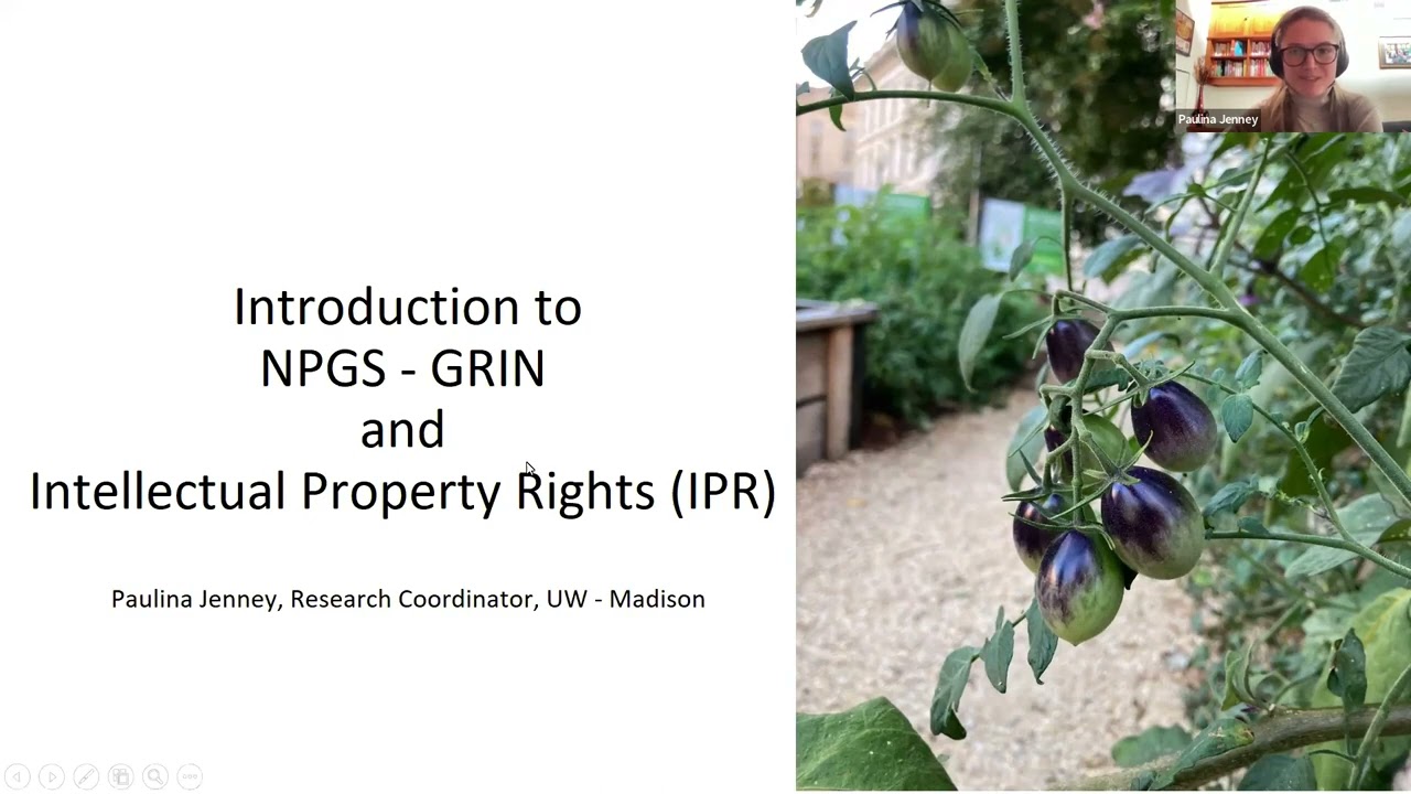 Selecting High-Quality Breeding Material