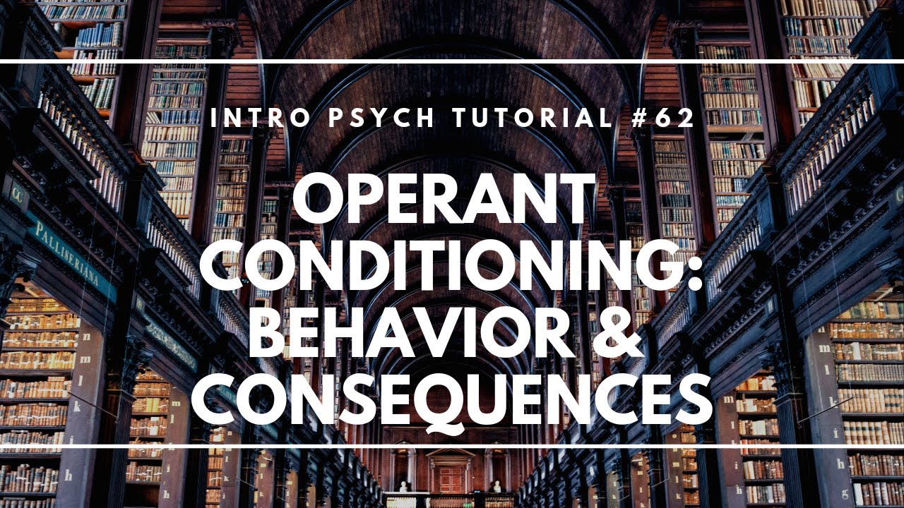 Operant Conditioning: Behavior & Consequences (Intro Psych Tutorial #62)