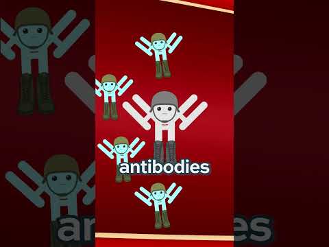 What Is Multiple Myeloma?