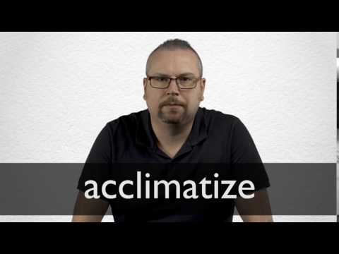 How to pronounce ACCLIMATIZE in British English