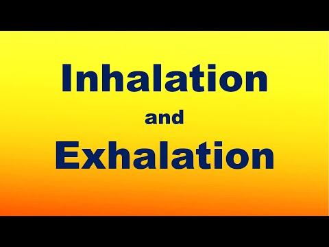 Inhalation and Exhalation Process
