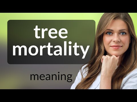 Understanding "Tree Mortality": An Essential Guide for English Learners