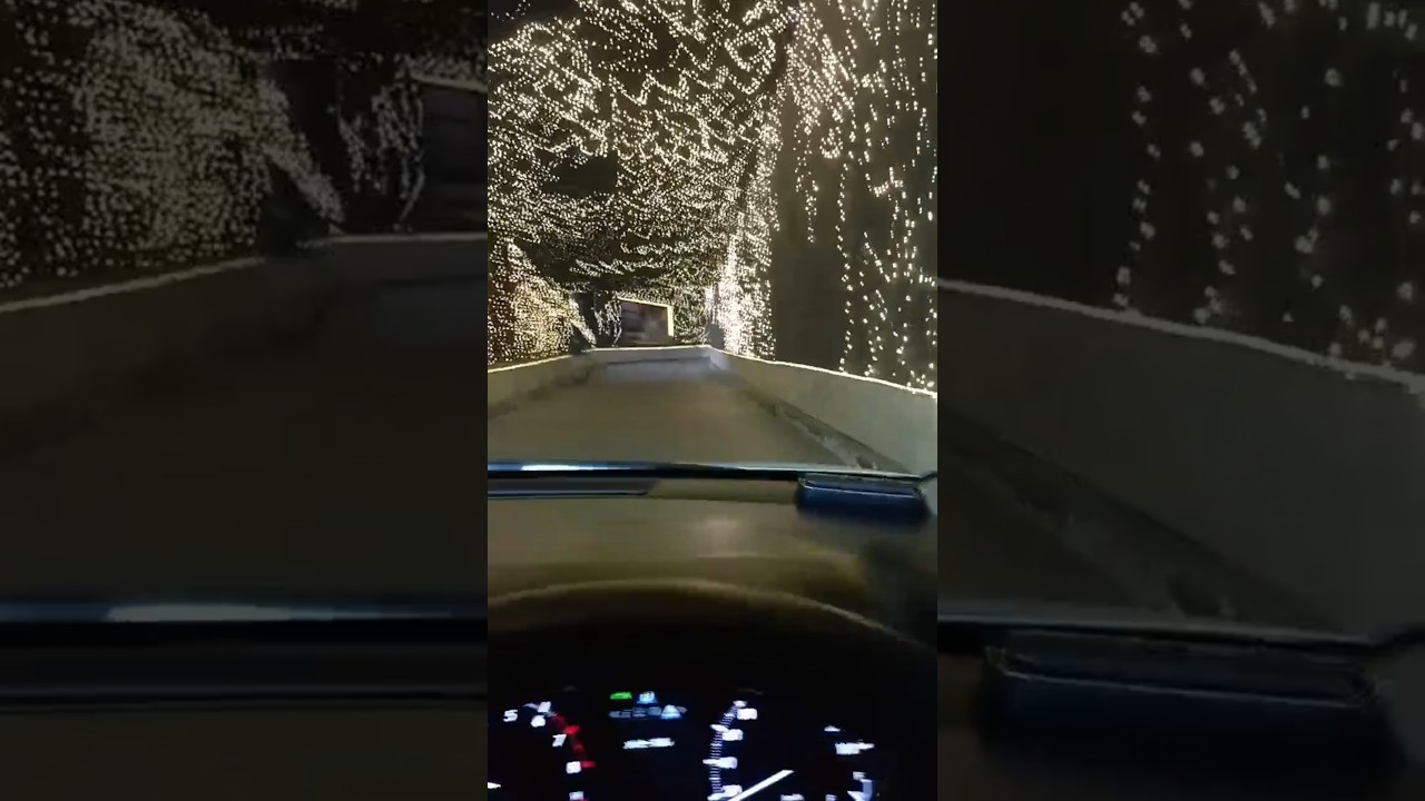 যমুনা ফিউচার পার্ক 😍#shorts #viralvideo #foryou #mdantor