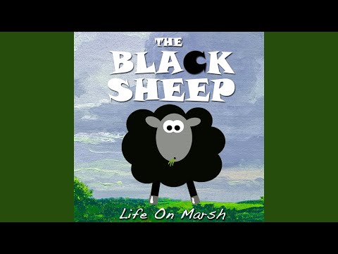 Sheepish