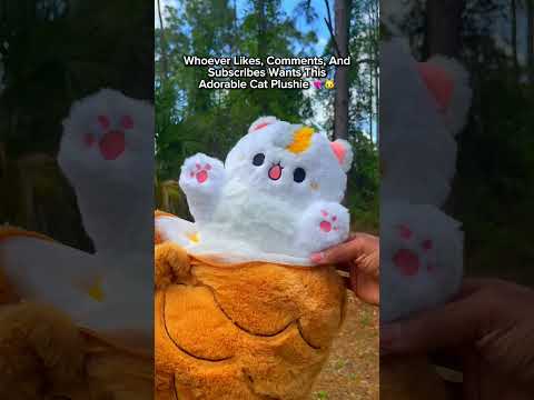 Is This The Cutest Cat Plushie Ever? ๐๐ฅน
