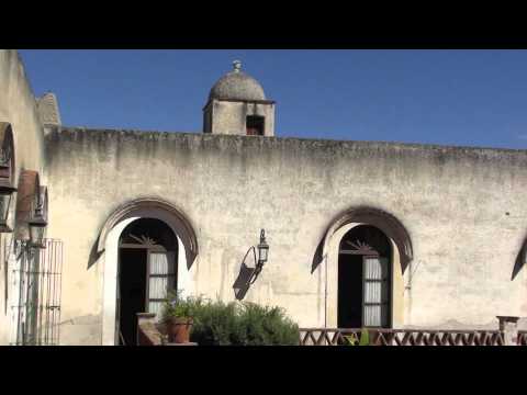 La borrachita – harnizo