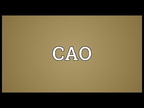 CAO Meaning