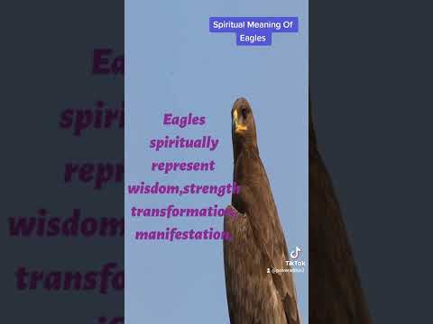 Spiritual Meaning Of Eagles
