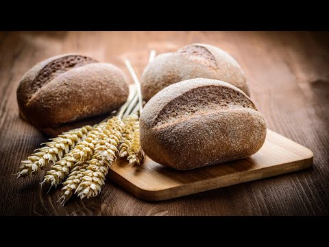 Barley and its Significance in the Bible