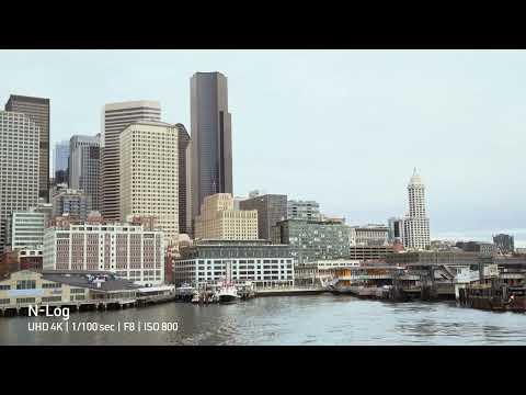 Nikon Zf: Day out (sample footage)