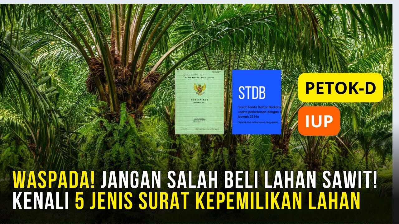 BEWARE! Don't Buy the Wrong Palm Oil Land! Learn About These 5 Types of Ownership Certificates