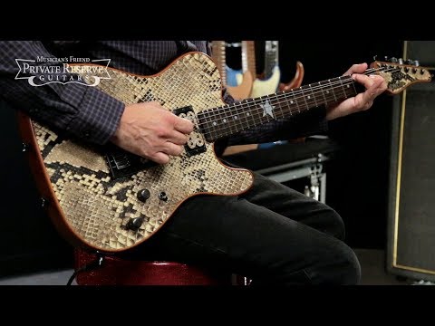 Schecter Guitar Research PT Snakeskin Electric Guitar
