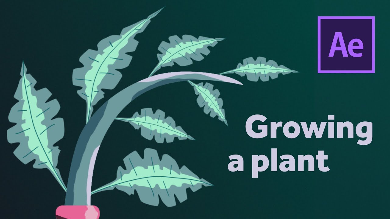 Growing plant animation and creation | After Effects Tutorial