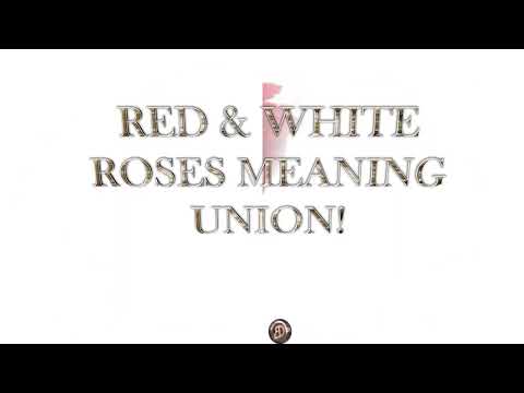 RED & WHITE ROSES MEANING UNION