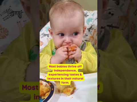 Babies Don’t Need To Be Spoon Fed | Baby Led Weaning Advice