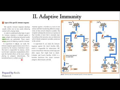 The Immune System: The specific immune response