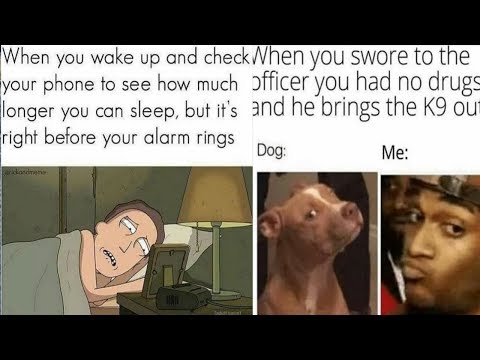 Funny Memes Pictures That Will Make You Laugh Out Loud
