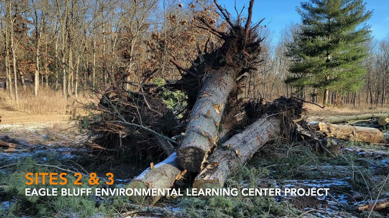 Root River Restoration Project March 2025 Update