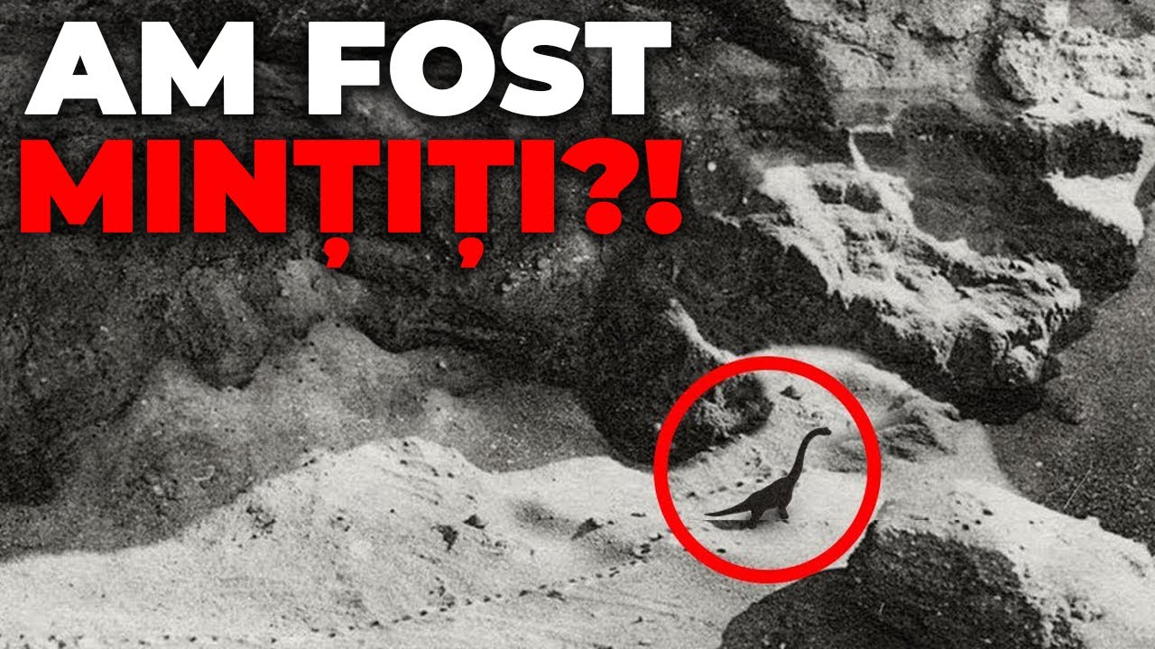 Animale DISPARUTE Sau NU?! - Omenirea.Ro