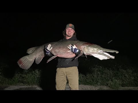 GIANT ALLIGATOR GAR!!! {Catch Clean Cook} - HuntPost.com