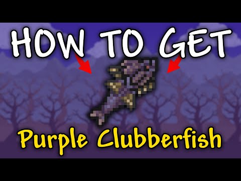 How to Get Purple Clubberfish in Terraria | Purple Clubberfish Terraria