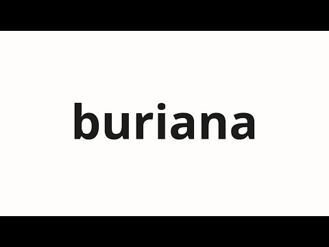 How to pronounce buriana | ブリアナ (Briana in Japanese)