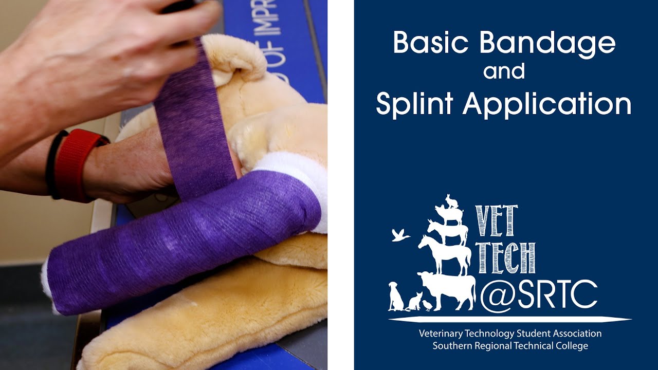 Basic Bandage and Splint Application