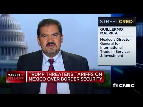 Head of Mexico's trade office talks tariffs, USMCA