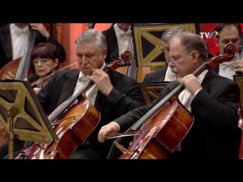 Beethoven Violin Concerto- Donghyun Kim