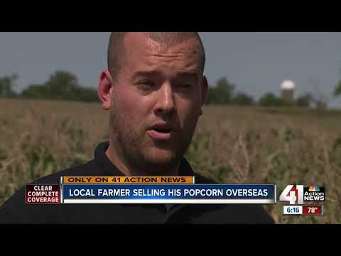 First-generation farmer finds niche for growing popcorn in Princeton, KS